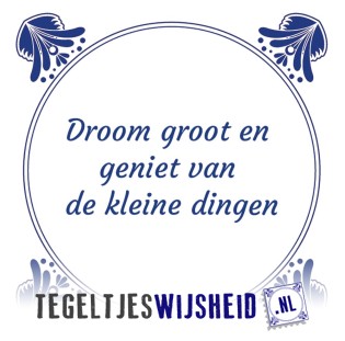 Droom groot - Tegeltje - Tegeltjeswijsheid.nl